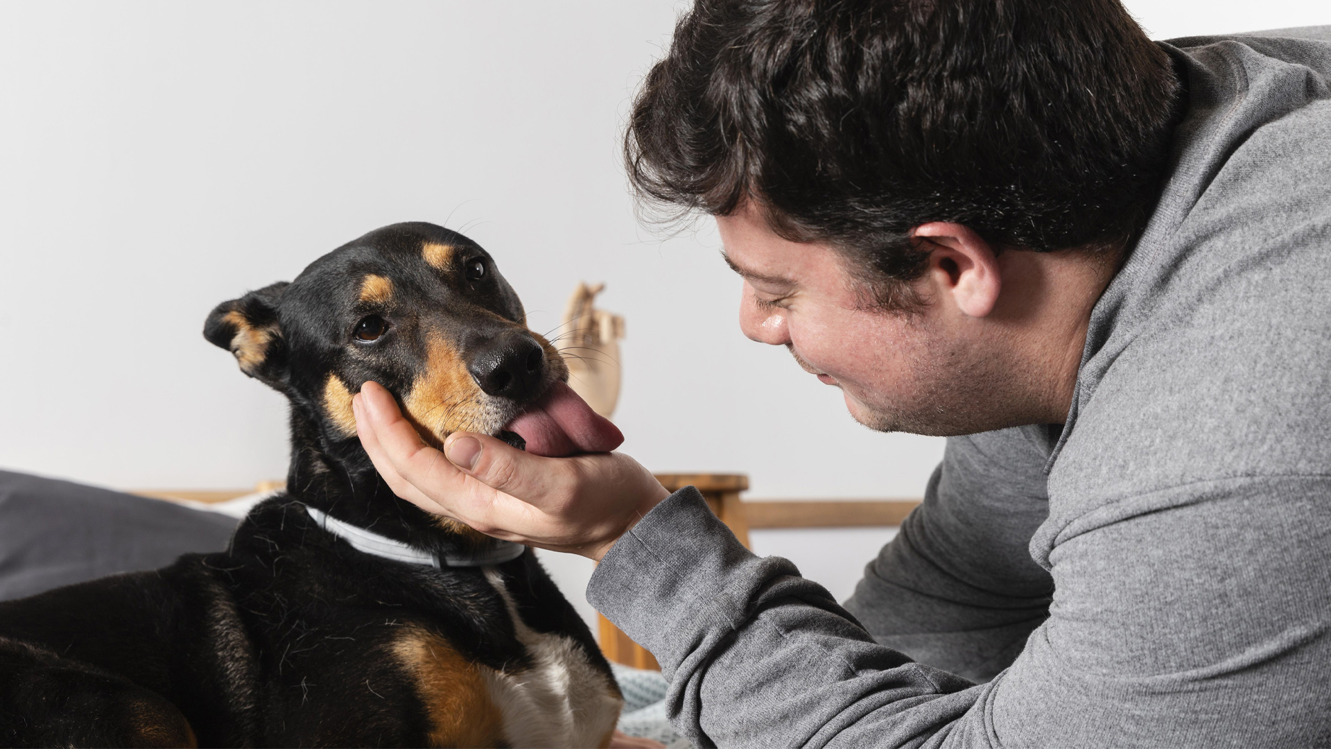 Chien qui lèche partout : pourquoi et comment réagir