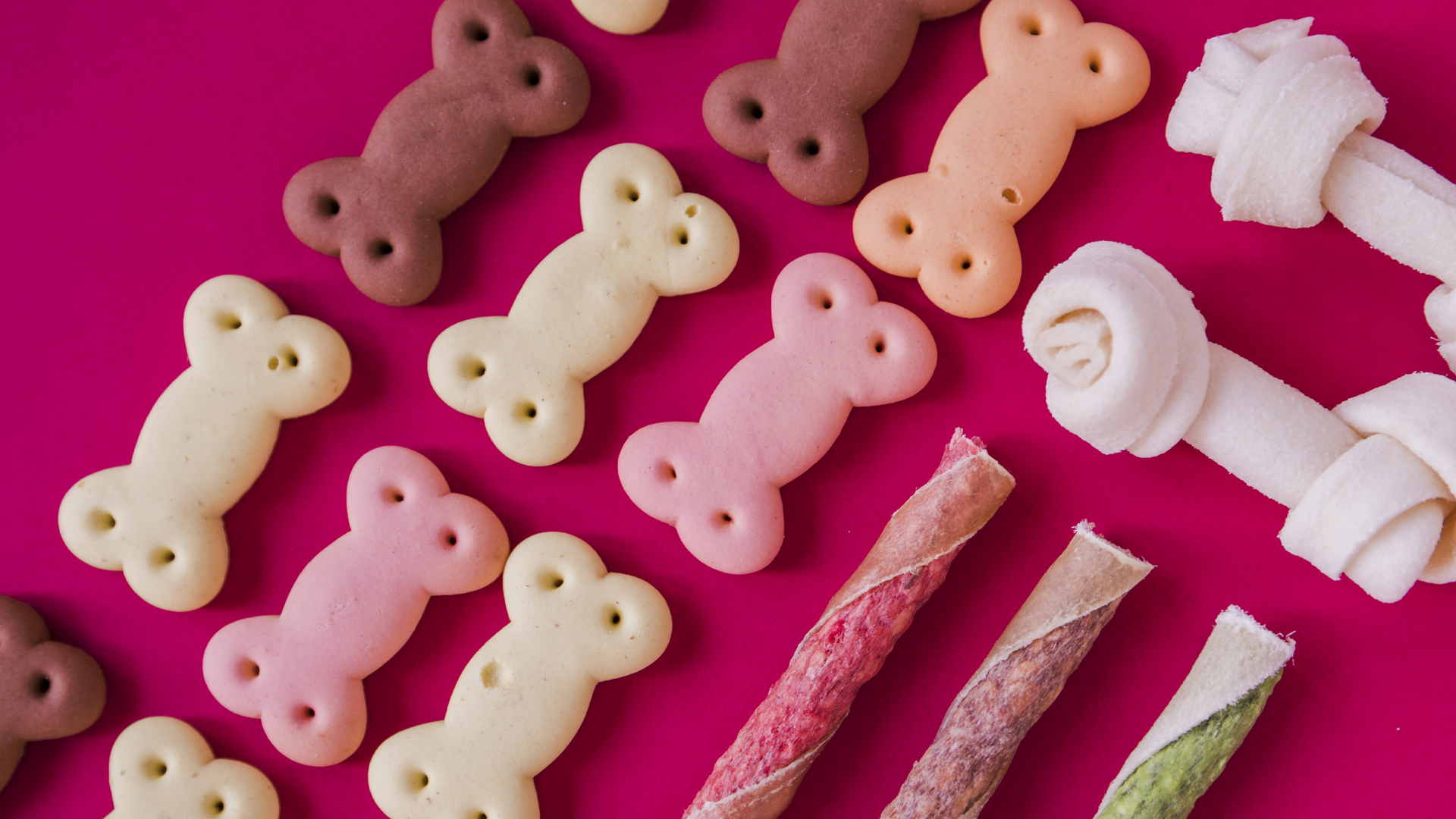 Recette Biscuit pour Chien : facile, sain et gourmand